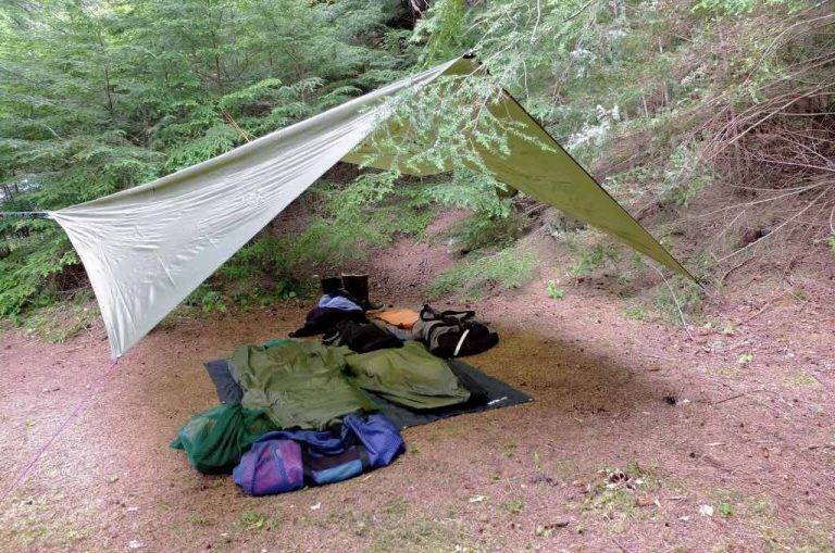 Tarp Camping: Beginner's Guide to Finding the Perfect Pitch, Kit & Setup