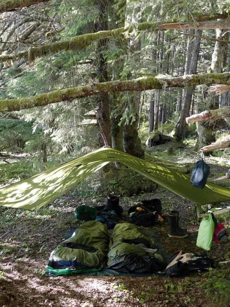 Tarp Camping: Beginner's Guide to Finding the Perfect Pitch, Kit & Setup