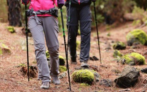 How to Use Trekking Poles – Improve Movement Techniques