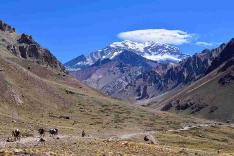 Non-Technical Mountain Climbs: Best Peaks for Beginner Hikers