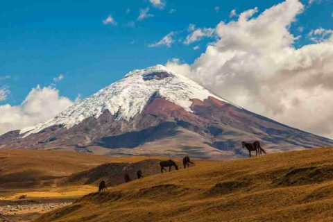 Non-Technical Mountain Climbs: Best Peaks for Beginner Hikers