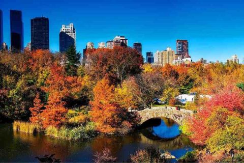 Where to See the Best New York Fall Foliage This Season