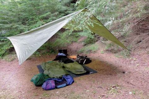 Tarp Camping 101: The Ultimate Guide to Lightweight Shelter